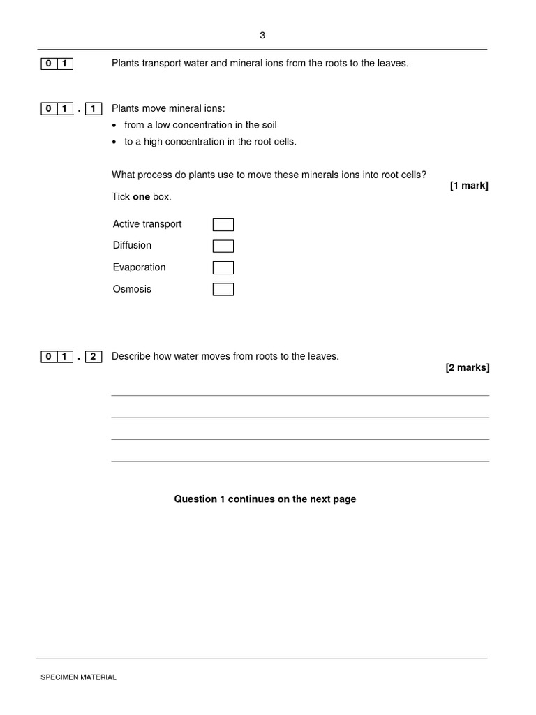 Sample Set 1 Cell Biology | PDF | Stoma | Leaf