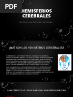 Instructivo Formato 607 DGII | PDF | Archivo de computadora | Impuestos