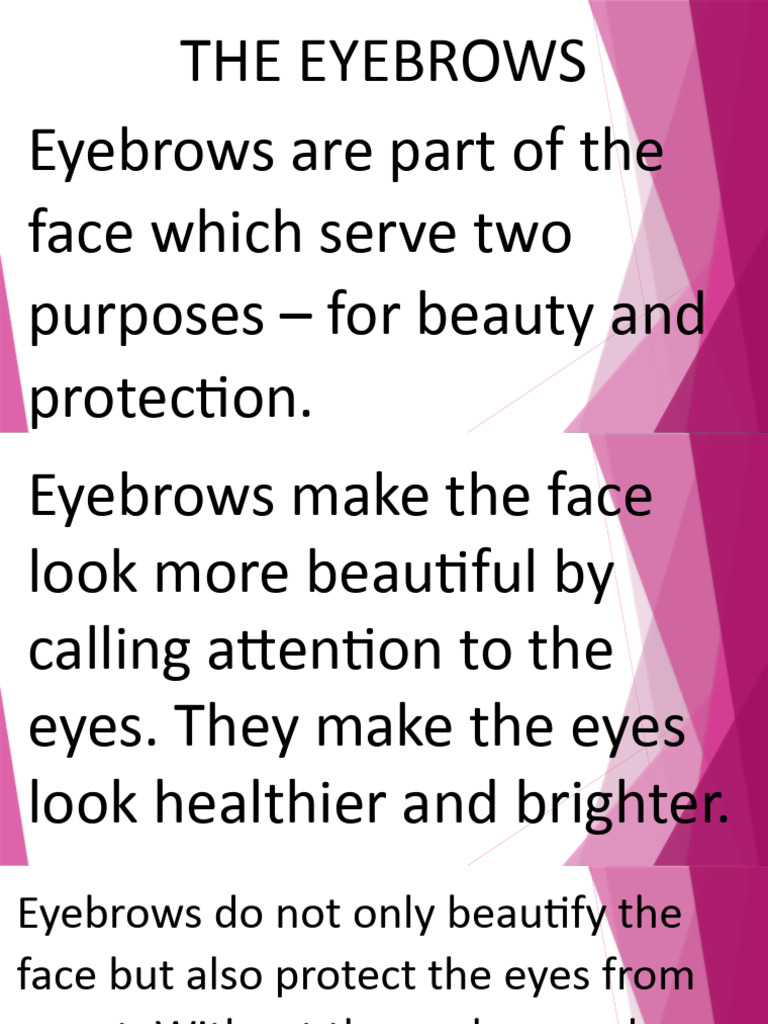 Importance of Eyebrows for Beauty & Protection | PDF