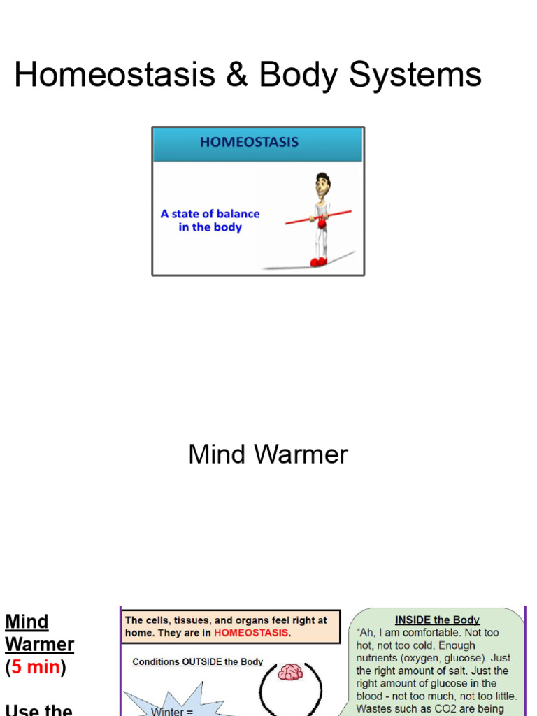 0_short Version_wall Hunt_ppt_Homeostasis & Body Systems | PDF ...