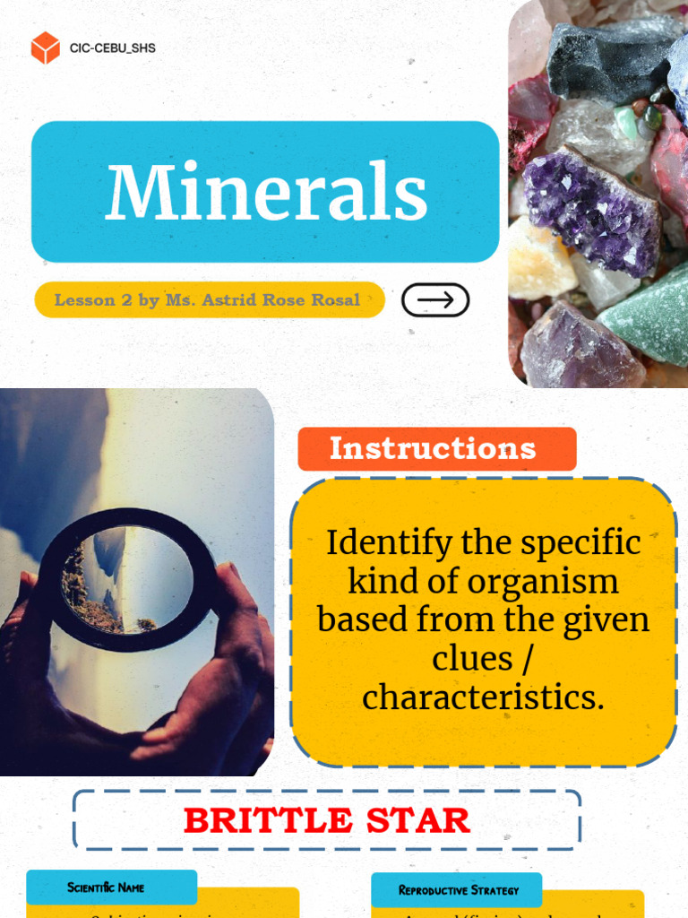 Lesson Minerals and Rocks | PDF | Rock (Geology) | Sedimentary Rock