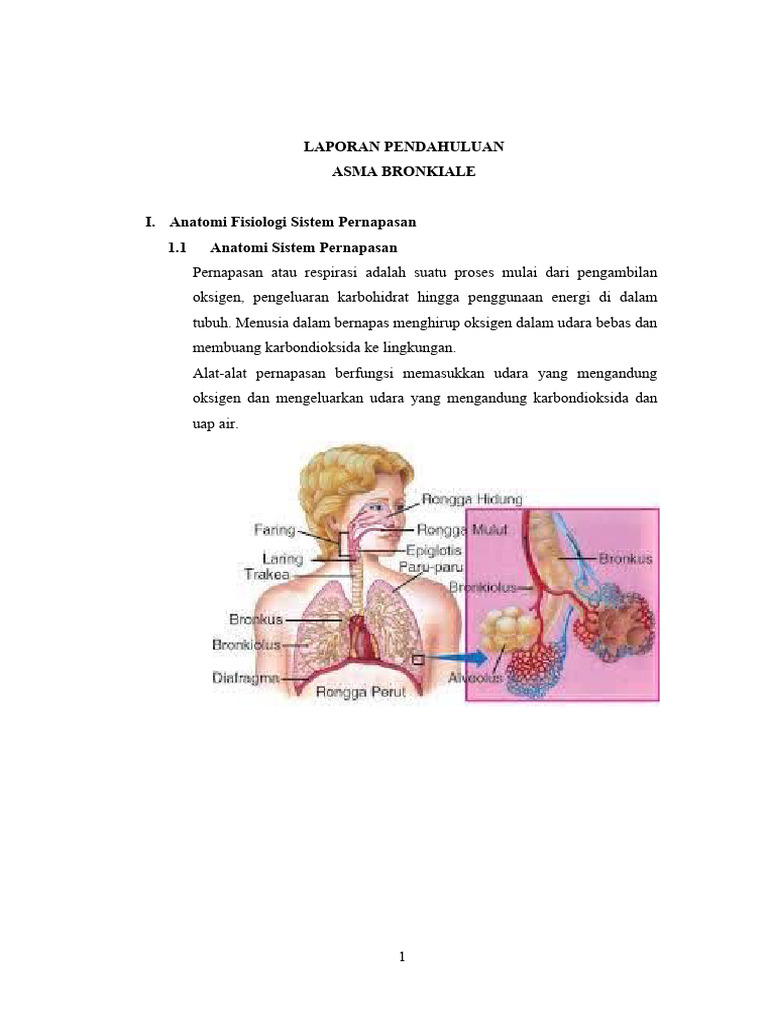 Asma Bronchial | PDF