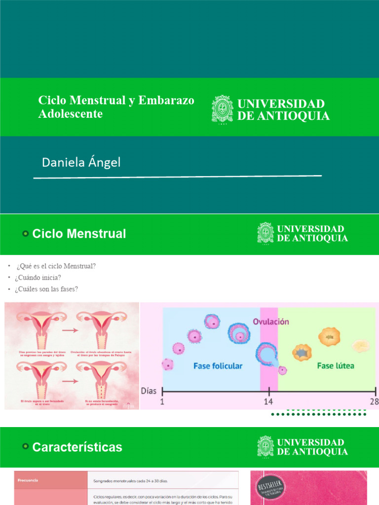 Ciclo Menstrual | PDF | Menstruación | Ciclo menstrual