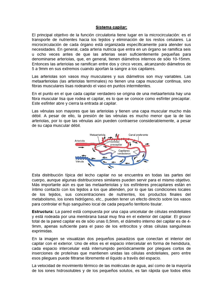 Sistema Capilar | PDF | Capilar | Angiología