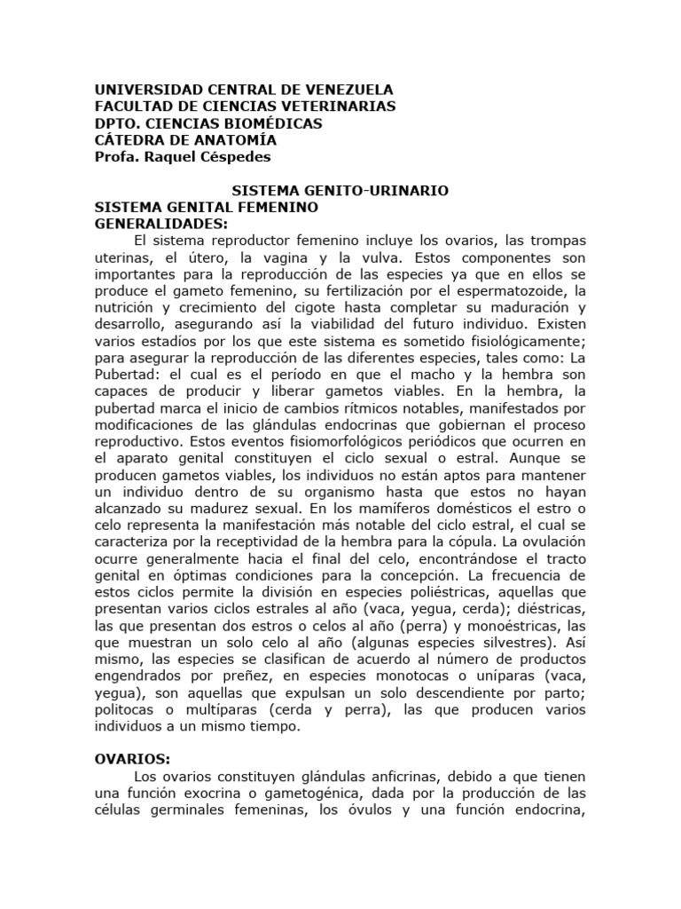 Sistema Genito-Urinario | PDF | Vagina | Sistema reproductivo