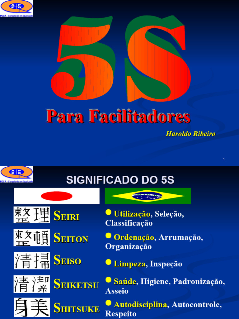 5S para Facilitadores | PDF | Desperdício