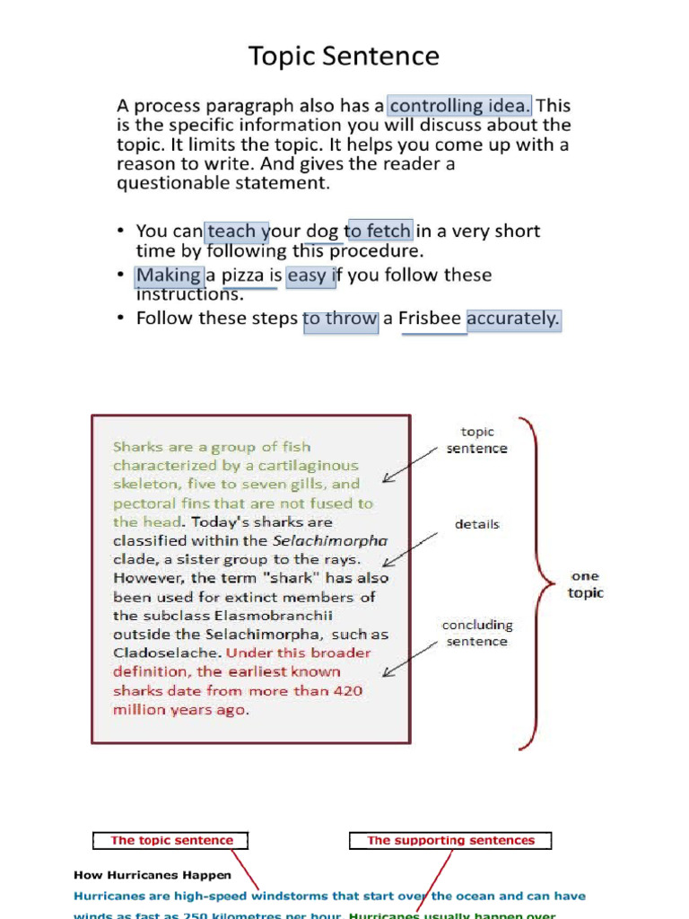 Paragraphs Examples | PDF