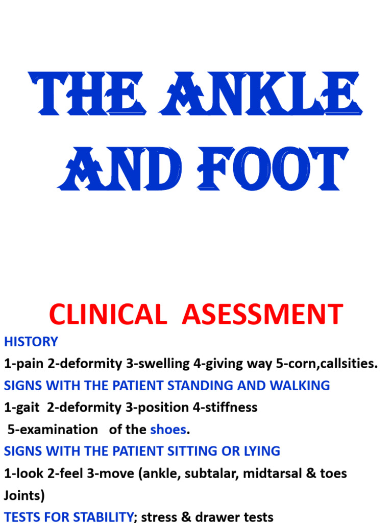 4 - Ankle and Foot | PDF | Foot | Toe