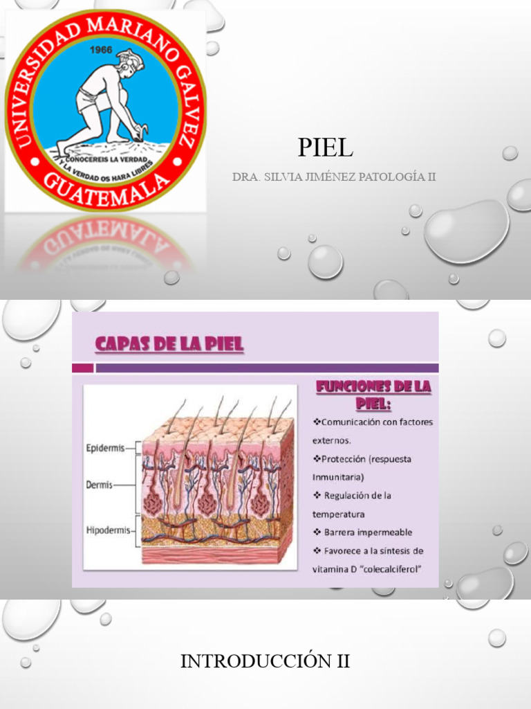 Piel | PDF
