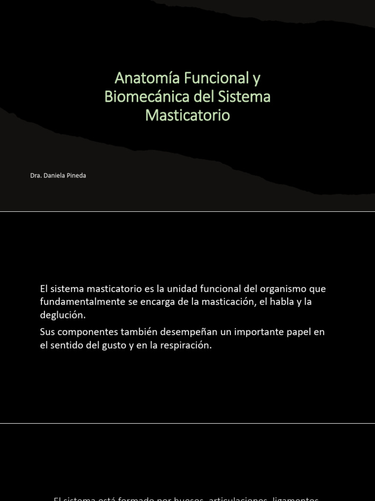 Anatomía Funcional y Biomecánica Del Sistema Masticatorio FINAL-2 | PDF | Articulación | Cráneo