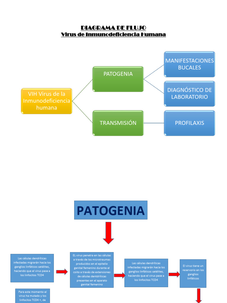 Diagrama de Flujo Vih | PDF | VIH | Virus