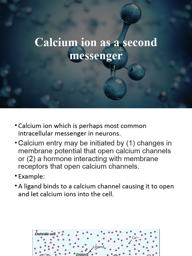 Calcium As Second Messenger | PDF | Calcium In Biology | Cell Signaling
