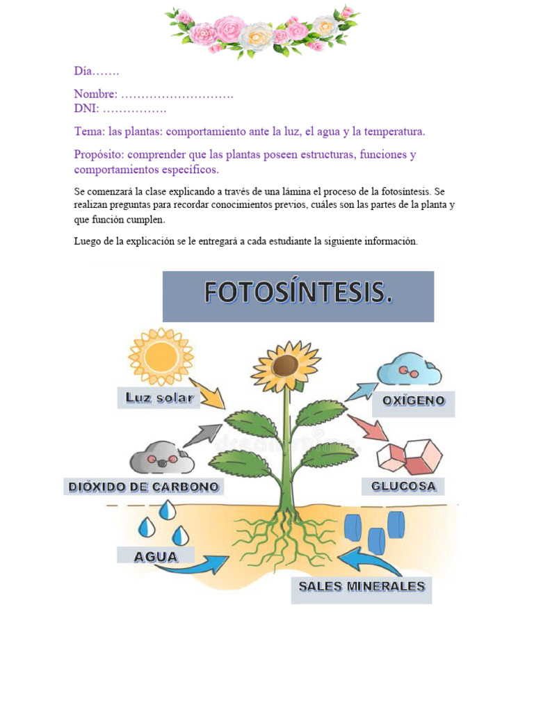2024 - Modelo Padrón | PDF