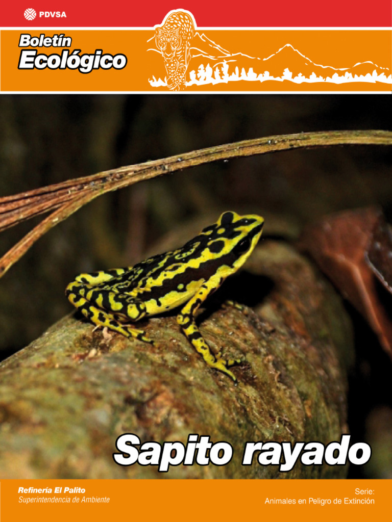 Sapito Rayado | PDF