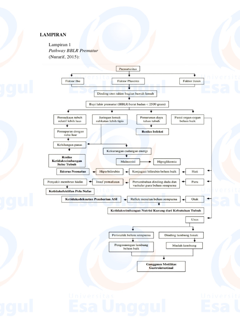 Pathway Bayi Prematur | PDF | Pengembangan Diri | Kesehatan Holistik