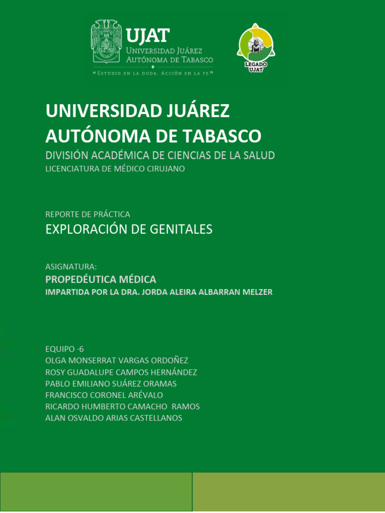 Exploración de Genitales | PDF | Labios | Vagina