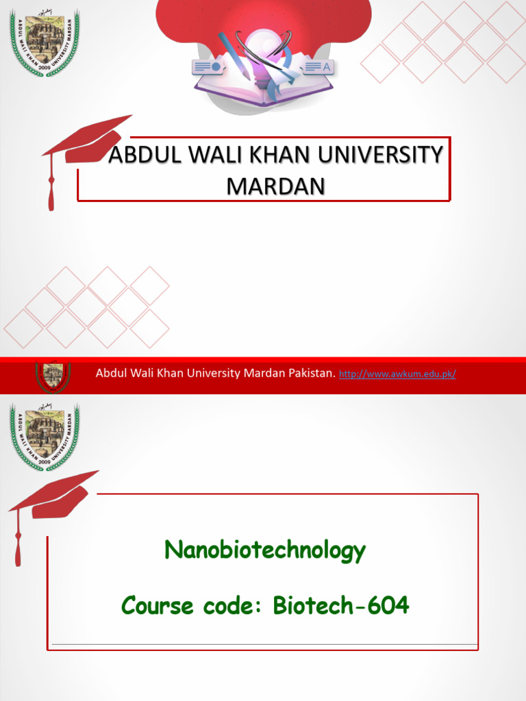 Nanobiotech Course Overview | PDF