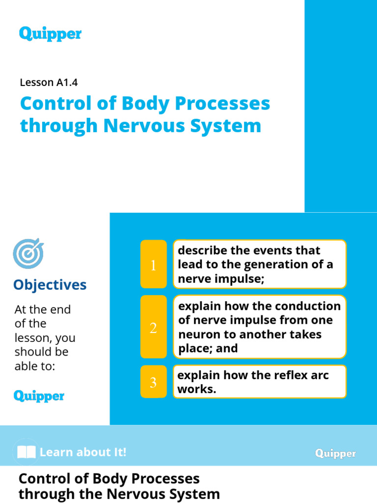 Science 10 A1.4 Control of Body Processes Through Nervous System | PDF ...
