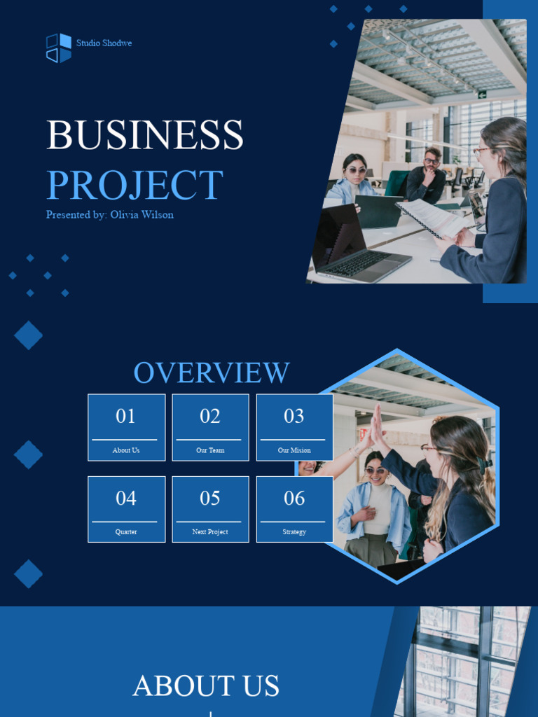 Business Project Overview Presentation | PDF | Marketing | Business ...