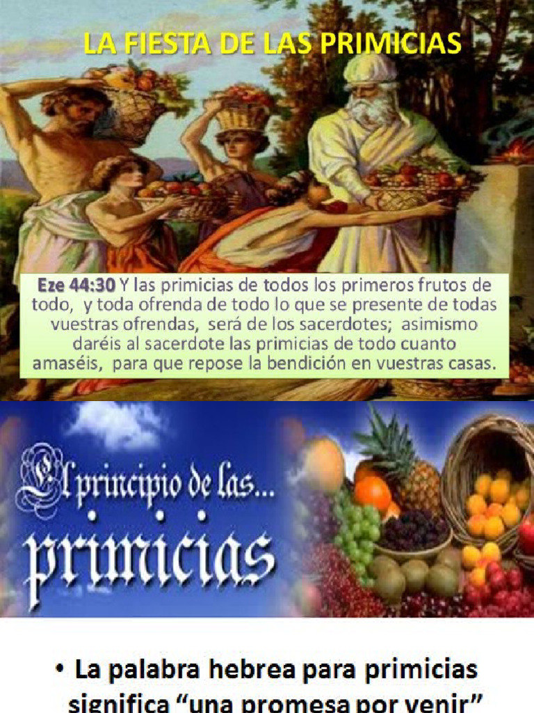 PRIMICIAS | PDF | El antiguo Israel y Judá | Creencia religiosa y doctrina