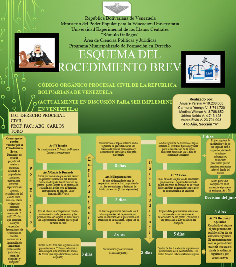 Esquema Del Procedimiento Breve Elvis Valera | PDF