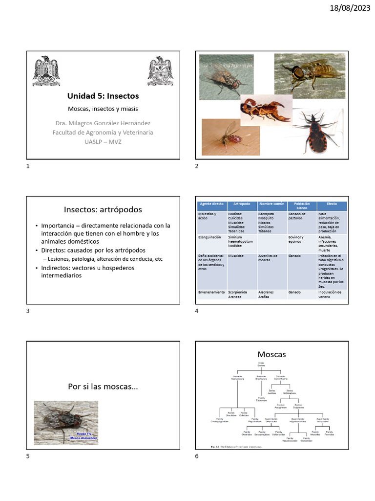 Insecto S | PDF | Especialidades Medicas | Medicina CLINICA