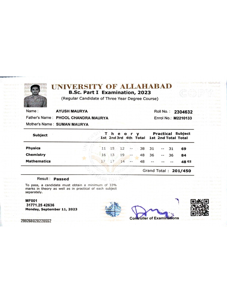BSC 1st Year Marksheet | PDF