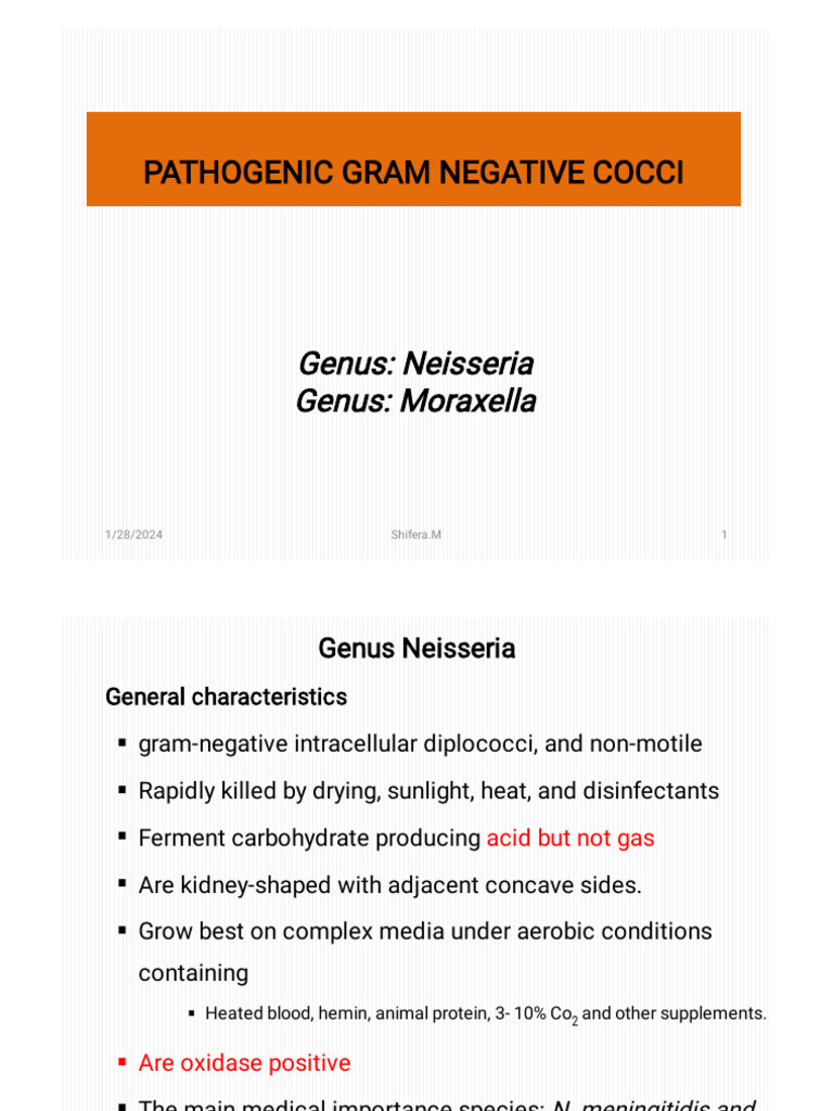 Pathogenic Gram-Negative Cocci Overview | PDF | Immunology | Medical ...