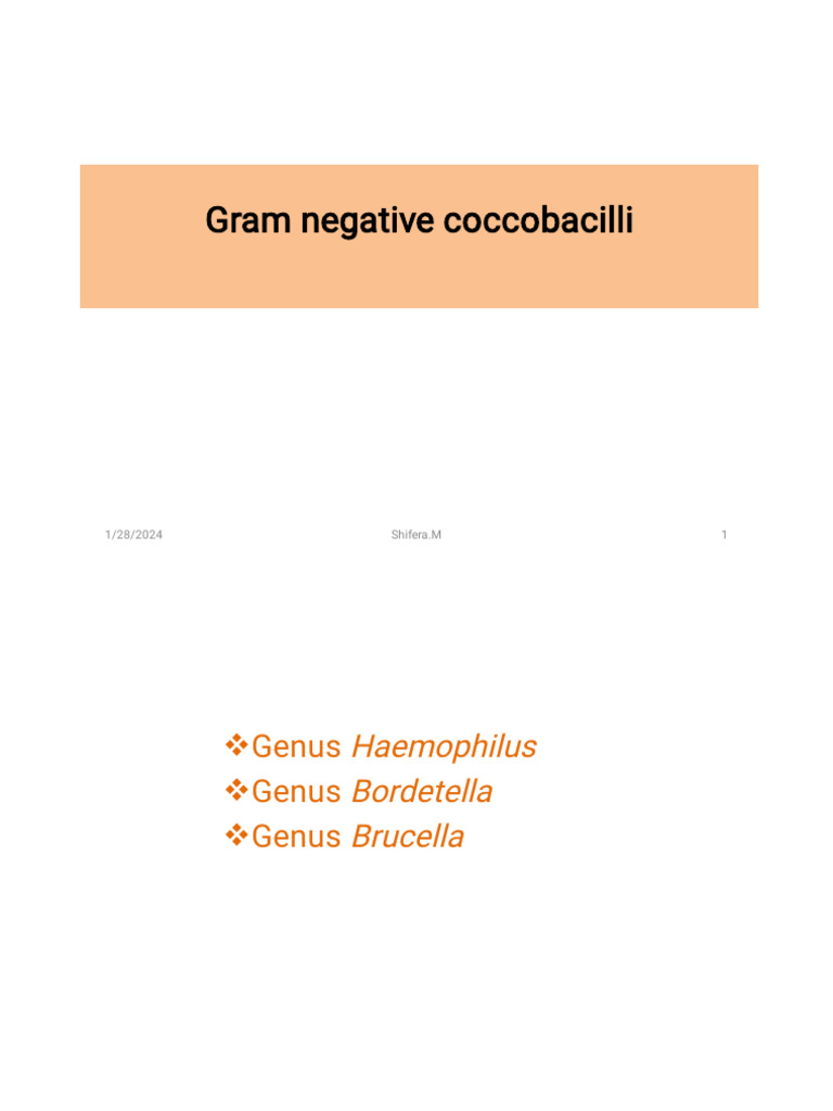 Gram Negative Coccobacilli-1 | PDF