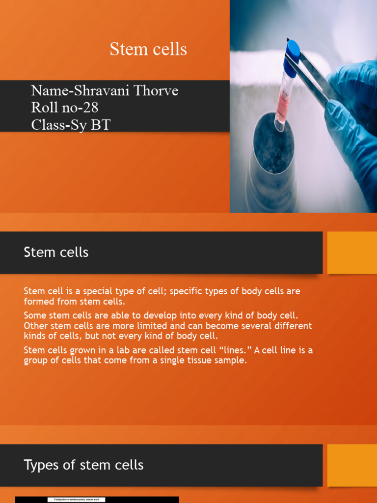 Stem Cell | PDF | Stem Cell | Embryo