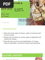 Anat WKST 1 Intro & Tissues | PDF | Epithelium | Anatomy