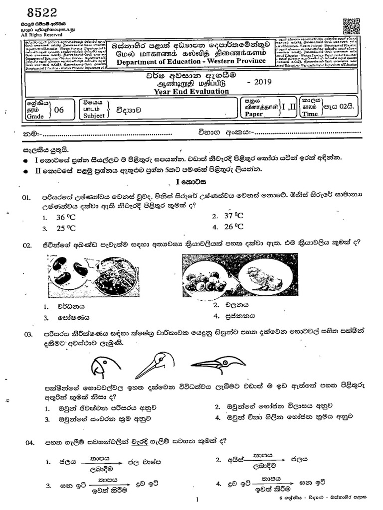 2019 g6 Science | PDF