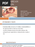 Case Study: Lower Segment Caesarean Section | PDF | Caesarean Section | Childbirth