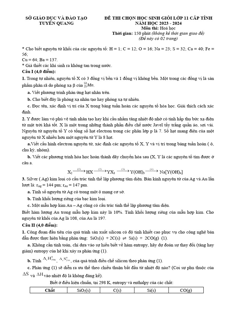 Đề HSG 11 Đề 1 | PDF