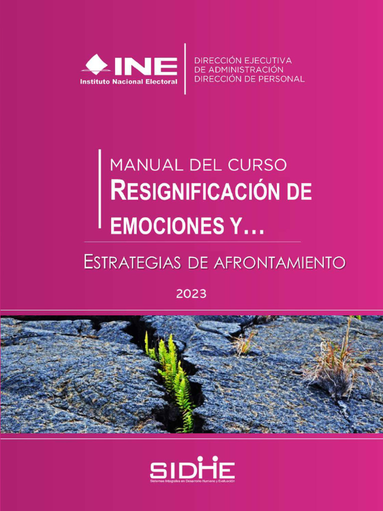 Manual - Del - Curso - Ine - Resignificación - Emociones Final | PDF | Ansiedad | Las emociones