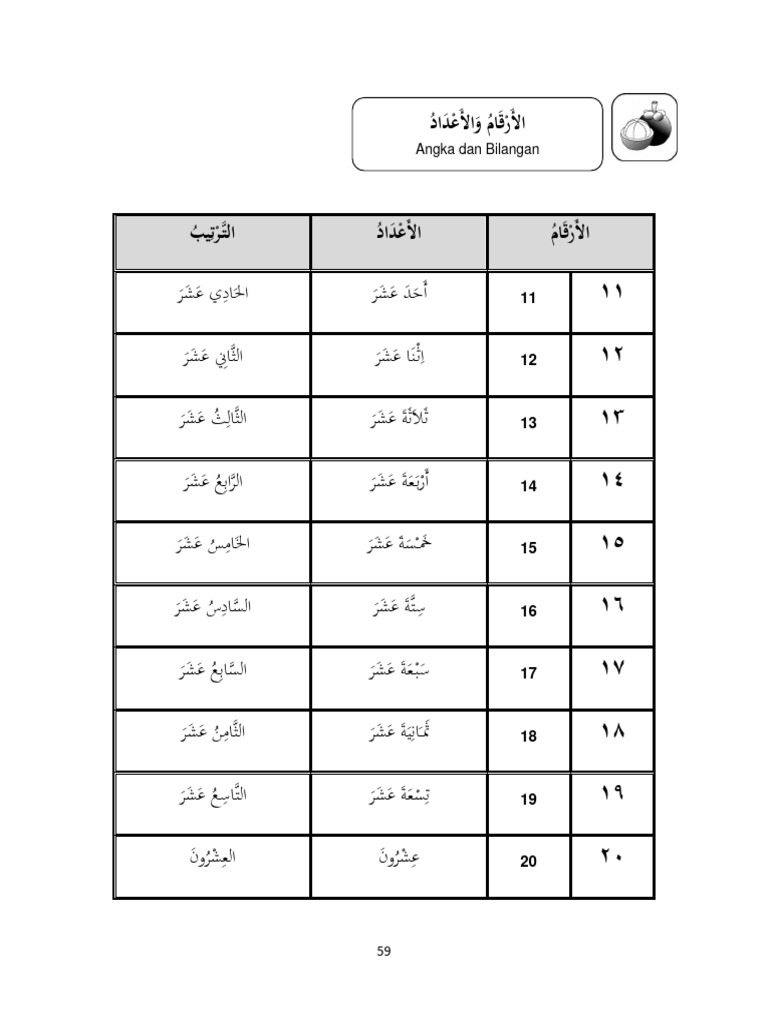 الأرقام 11-100 | PDF