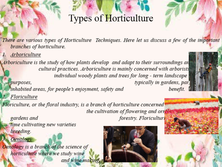 Types of Horticulture | PDF