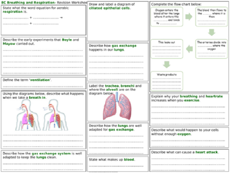 Revision Respiration Igcse Science 8 | PDF