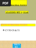 Anatomi Fossa Axillaris | PDF | Arm | Limbs (Anatomy)