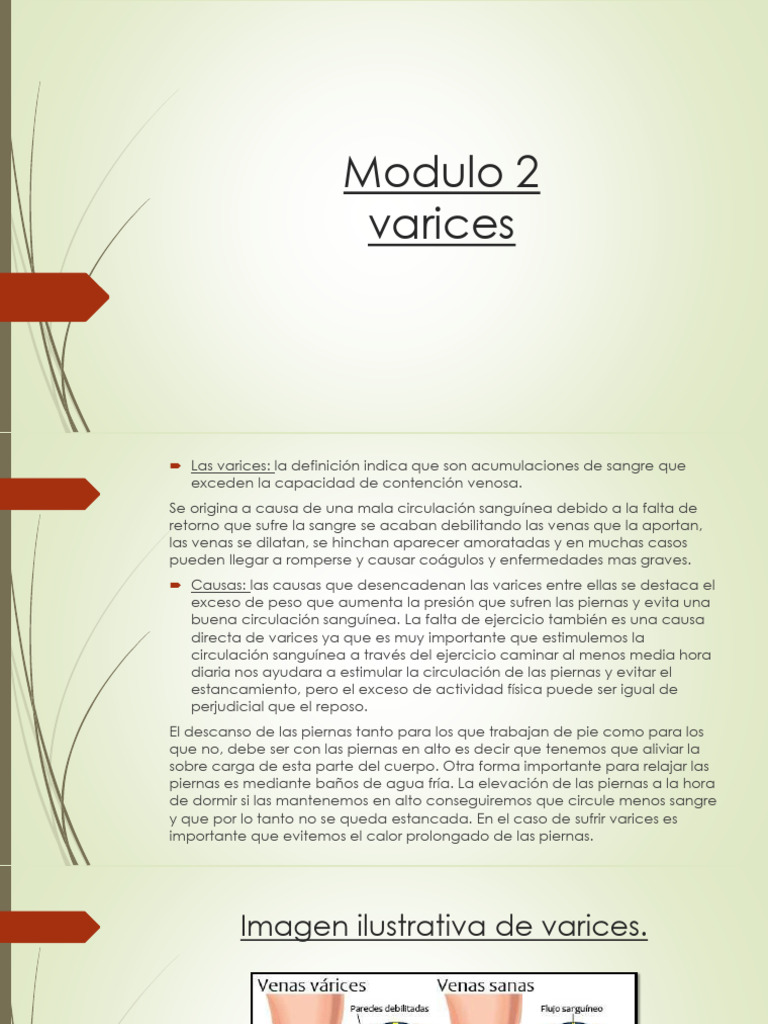 Modulo 2 | PDF