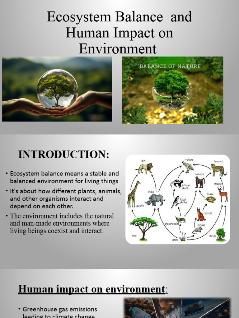 Ecosystem Balance and Human Impact on Environment | PDF | Water ...