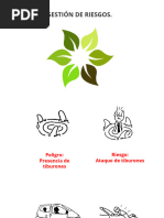 La Pirámide Del Control de Riesgos | PDF | Riesgo | Solvente