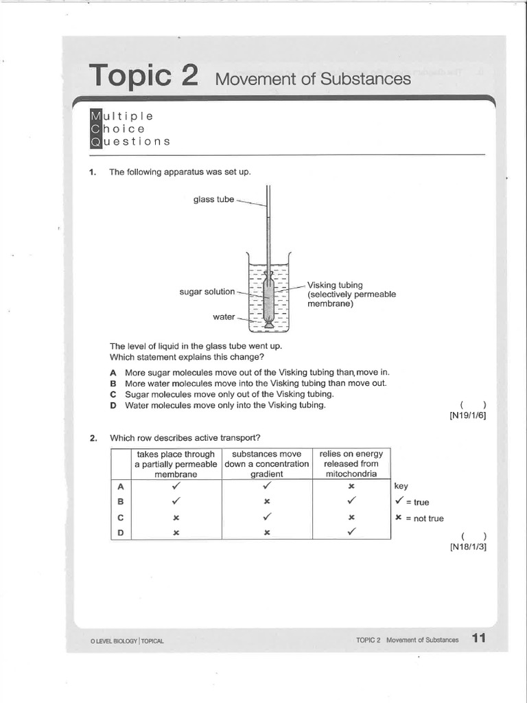 Movement of Substances MCQ | PDF