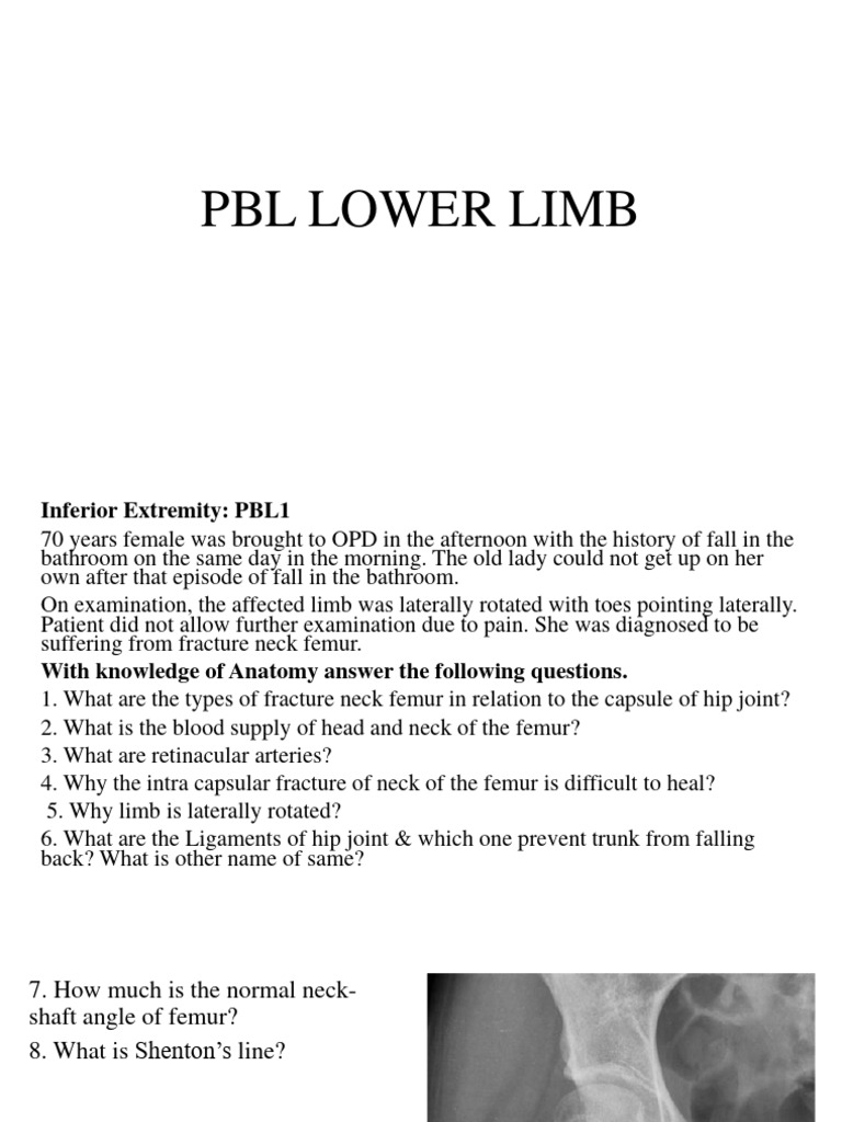 3) Lower Limb 1 | PDF | Vein | Knee