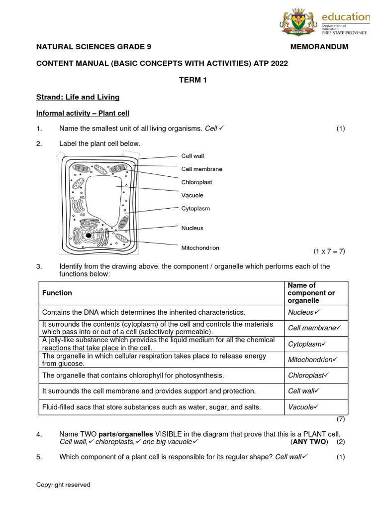 Natural Sciences Grade 9 Memorandum Content Manual (Basic Concepts With ...