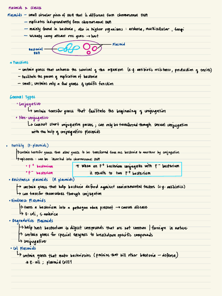 Plasmids Pdf Plasmid Bacteria