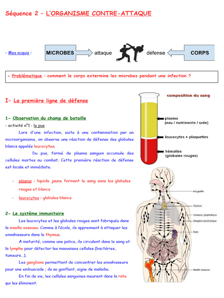 3a2 - L'organisme Contre Attaque | PDF | Système immunitaire | Globule blanc