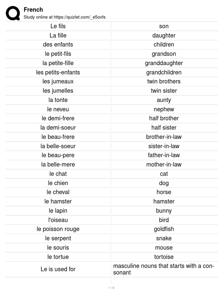 French Revision | PDF | Hair