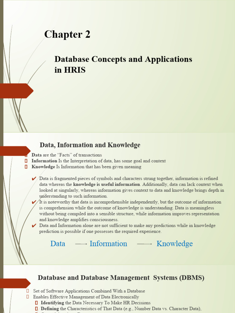 Chapter 2 and 3 Database and System Planning in HRIS | PDF | Databases | Relational Model
