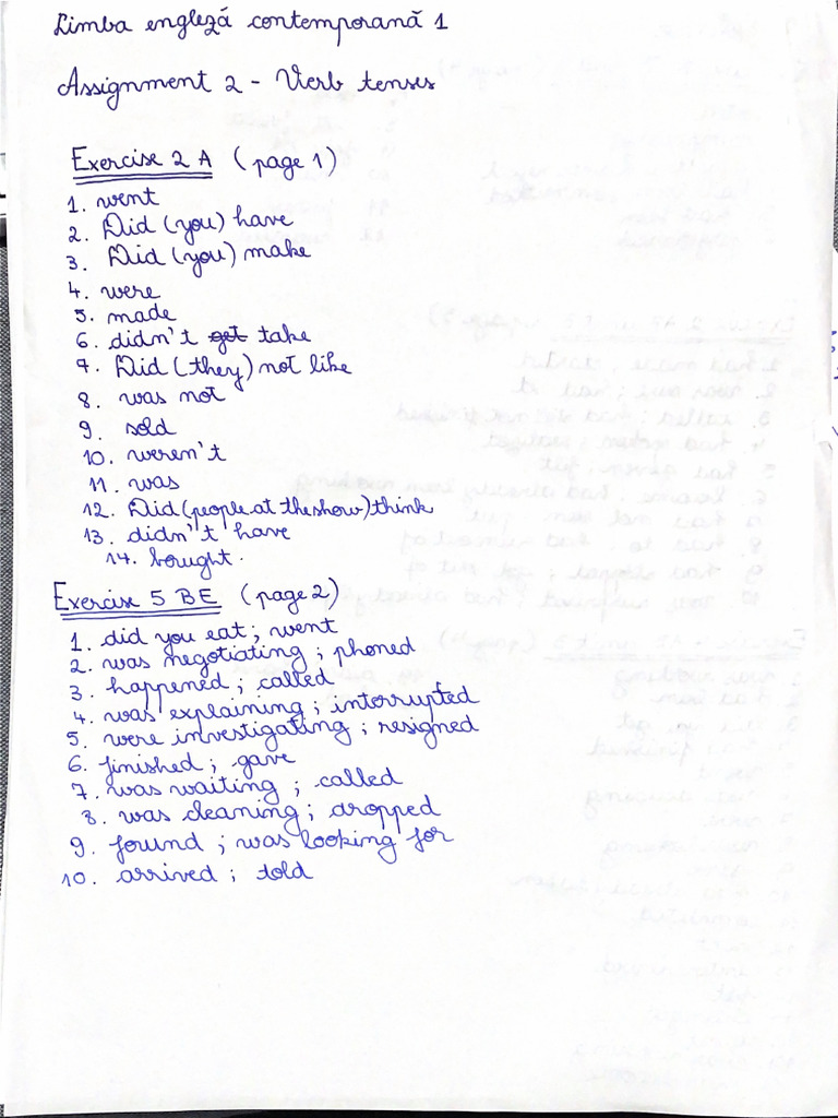 Assignment 2 Verb Tenses - Pana Mihaela Diana | PDF